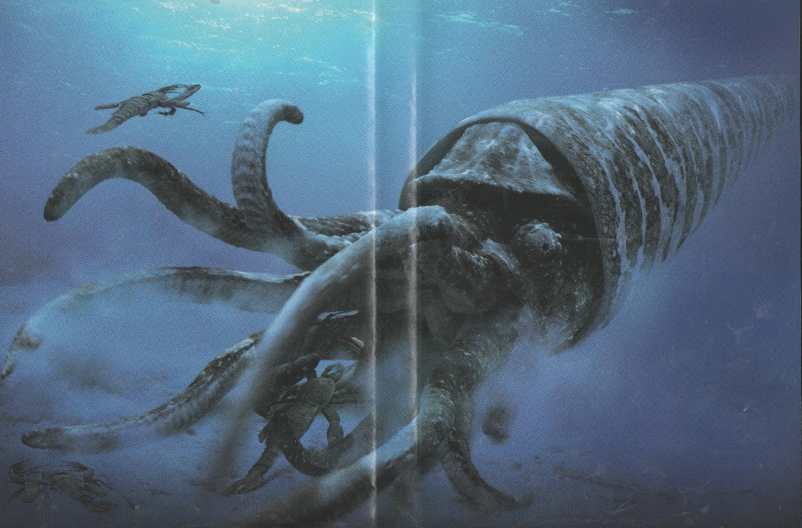 OFDb - Monster der Tiefe - Im Reich der Urzeit (2003) - DVD: polyband / BBC (Neuauflage im Amaray)