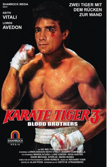 OFDb - Kick-Boxer 2: Blood Brothers (1990) - Blu-ray Disc: Shamrock ...